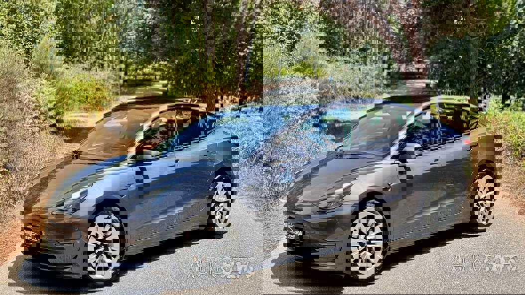 Tesla Model 3 de 2022 - Auto SAPO